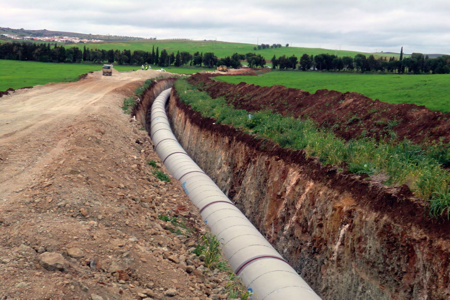 dst s.a. | Bloco S. Pedro Baleizão